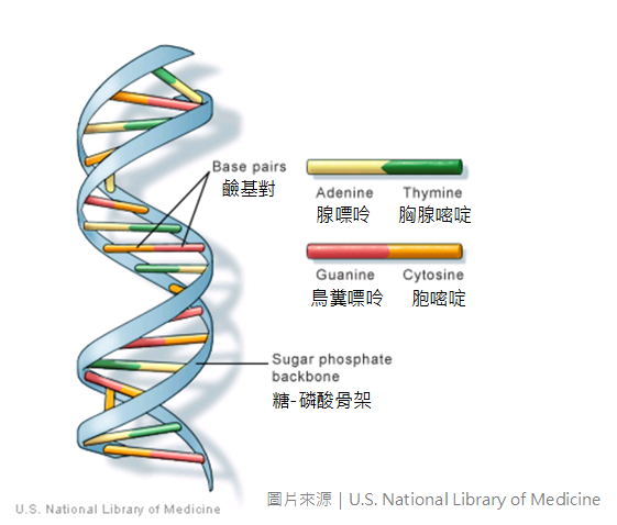 臺灣人體生物資料庫 官方網站